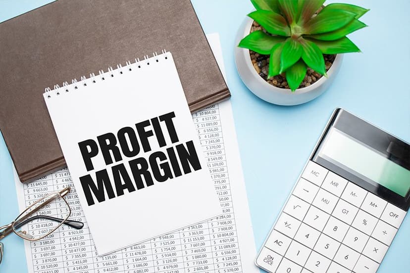 Profit and Loss Statement: Definition, Types, Examples, & Template