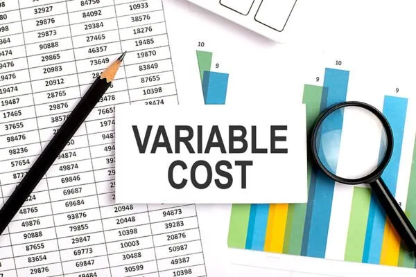 Variable Cost: Definition, Formula, and Examples