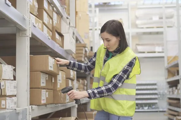 The 2 Accounting Forecasting Techniques Your Small Business Needs ...